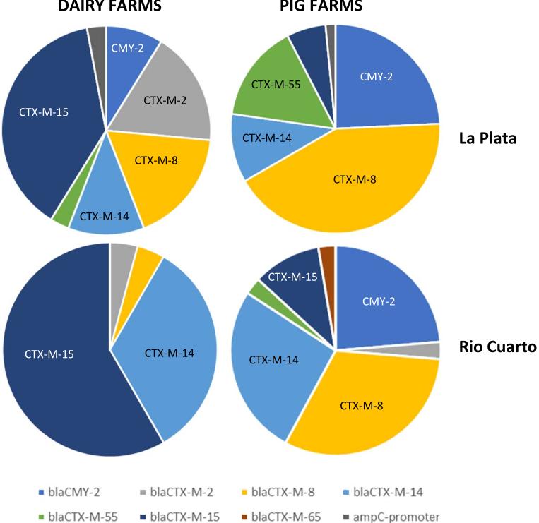 Genomic epidemiology of third-generation cephalosporin-resistant ...